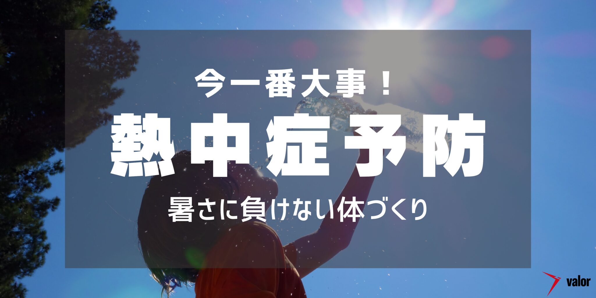 valor -フィットネススタジオ-